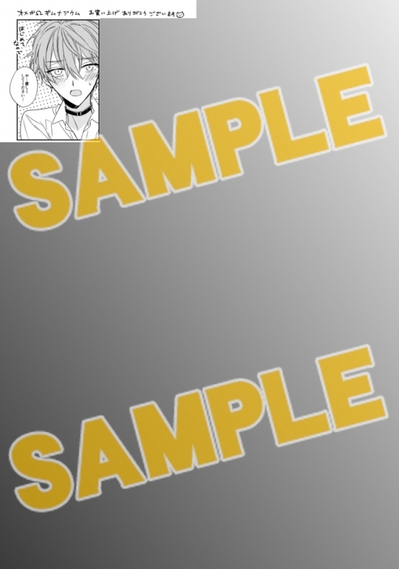 アニメイト | B6サイズ4Pリーフレット