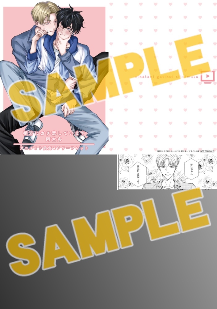 アニメイト | 描き下ろしB6サイズ4Pリーフレット